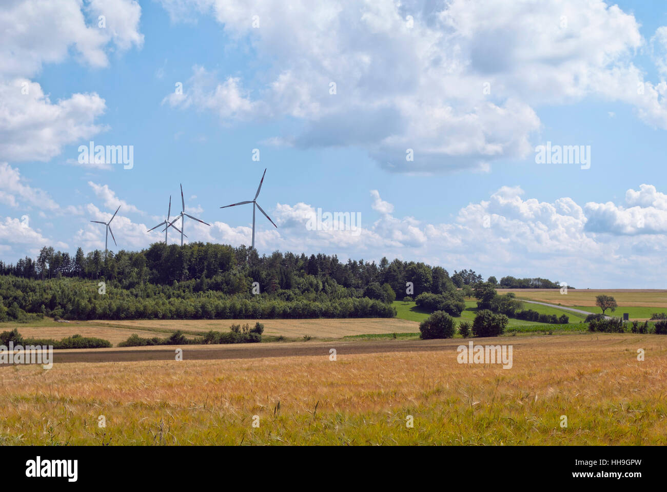 blue, travel, environment, enviroment, tree, field, summer, summerly ...