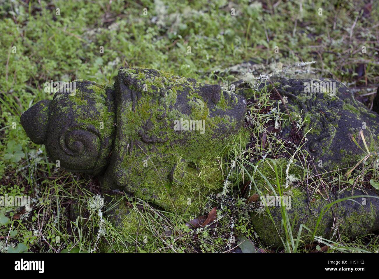 Moss Covered Statue High Resolution Stock Photography and Images - Alamy