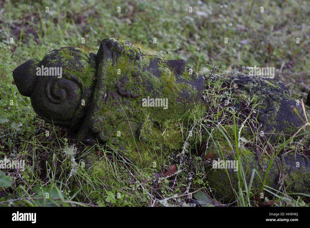 The moss covered face of a fallen statue Stock Photo - Alamy