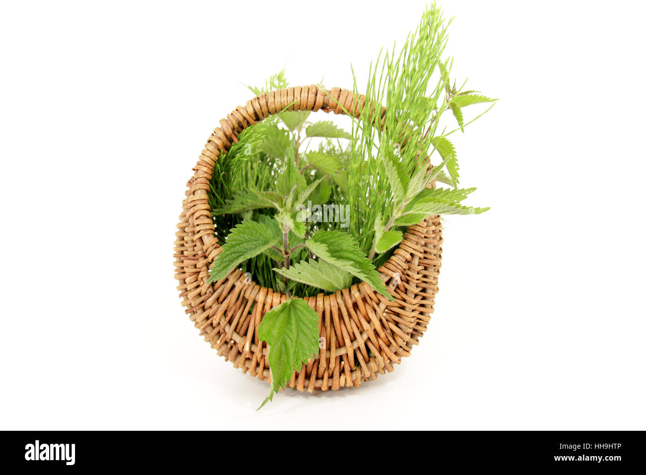 isolated, basket, dandelion, horse tail, horsetail, nettle, nettles ...