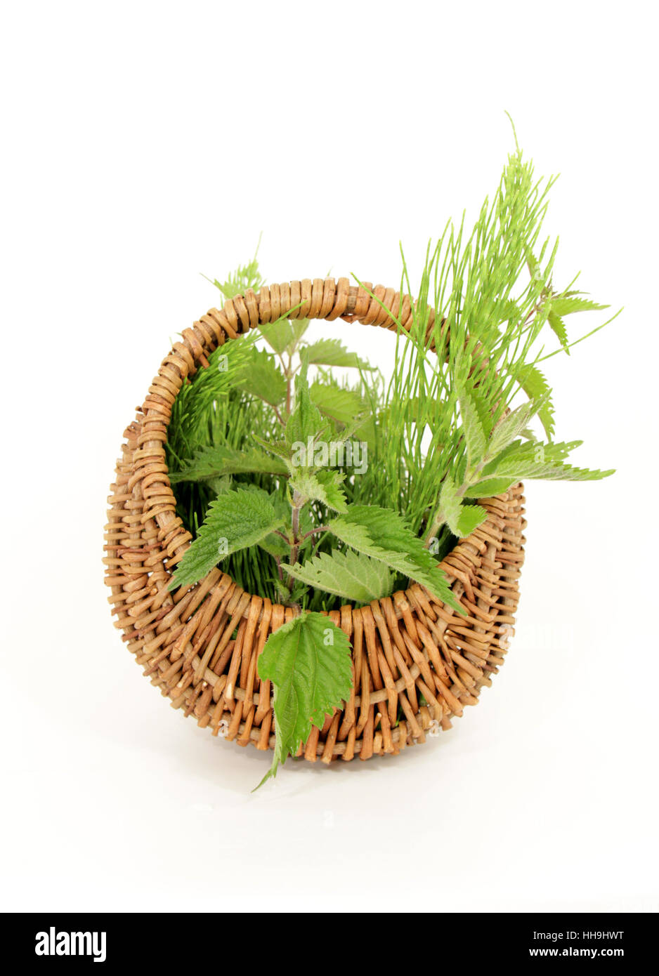 isolated, basket, dandelion, horse tail, horsetail, nettle, nettles ...