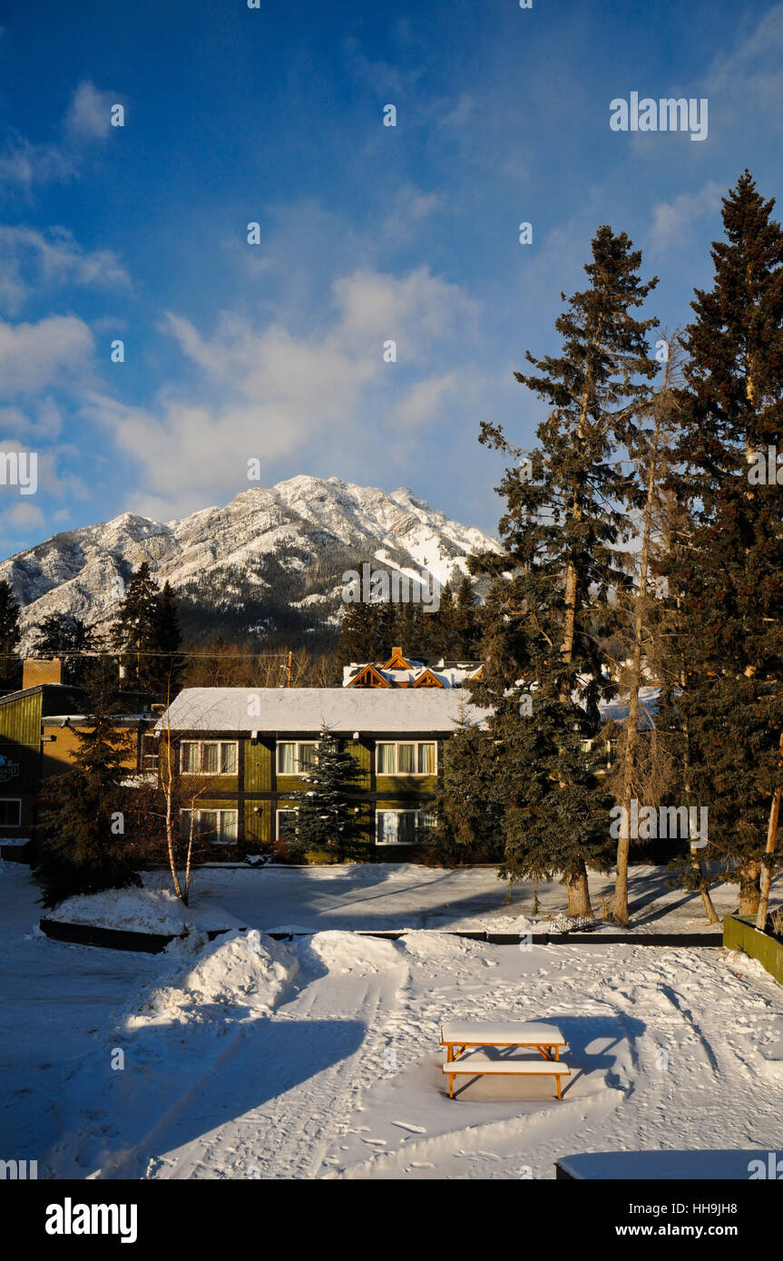 blue, house, building, beautiful, beauteously, nice, environment ...