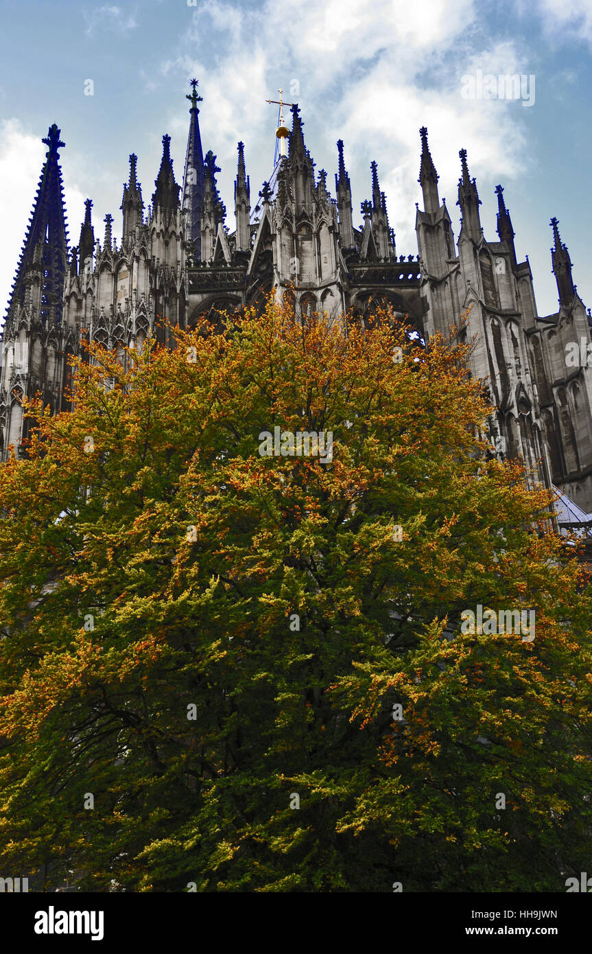 window, porthole, dormer window, pane, cathedral, organ, tombs, style ...