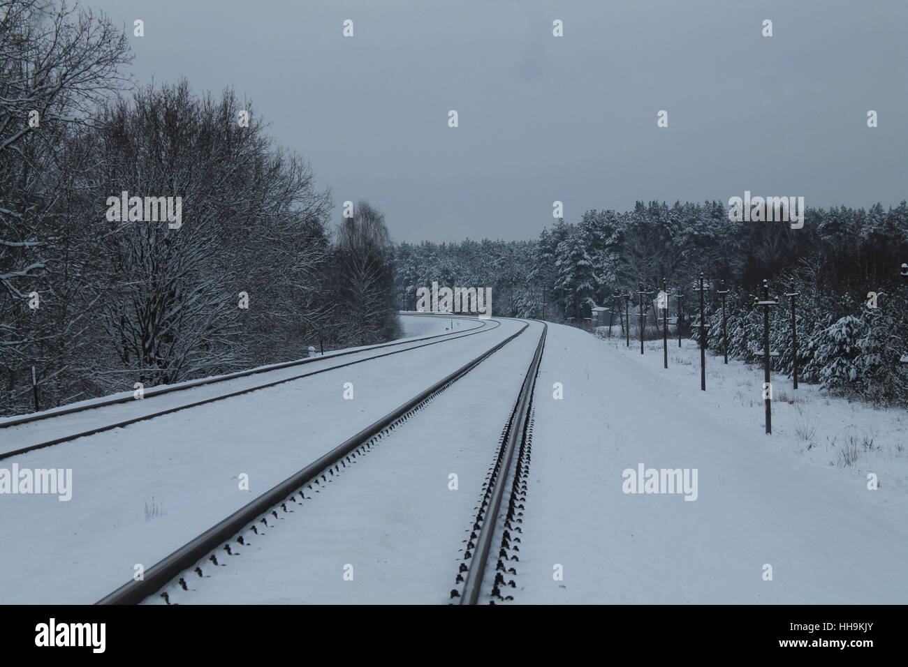 long steel lines of railway through winter forest sink in snow cold ...