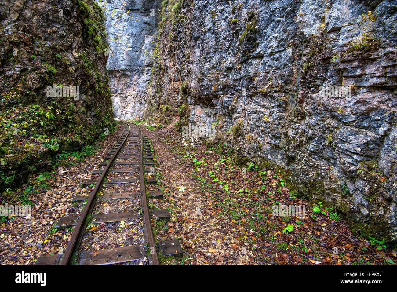 Railroad tracks go through autumn mountain forest Stock Photo - Alamy
