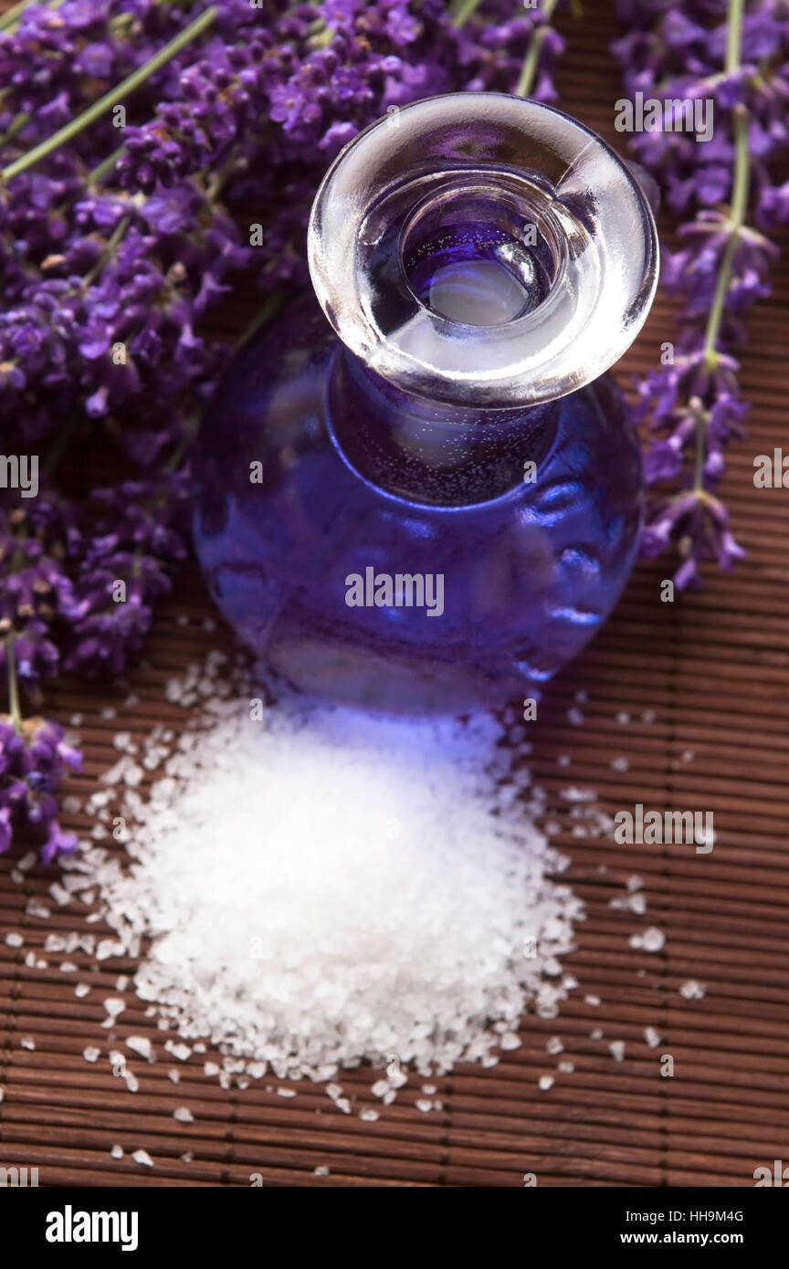 salt, flower, plant, lavender, essential, spa, mineral spring ...