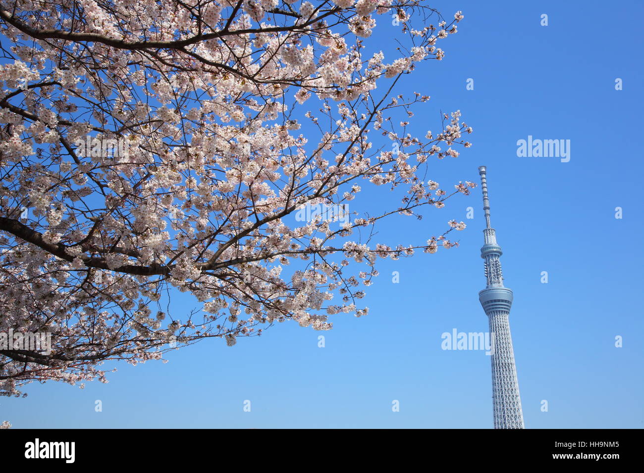 Skytree framework hi-res stock photography and images - Alamy