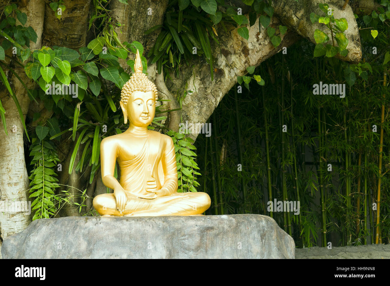 beautiful, beauteously, nice, religion, temple, tree, green, statue ...
