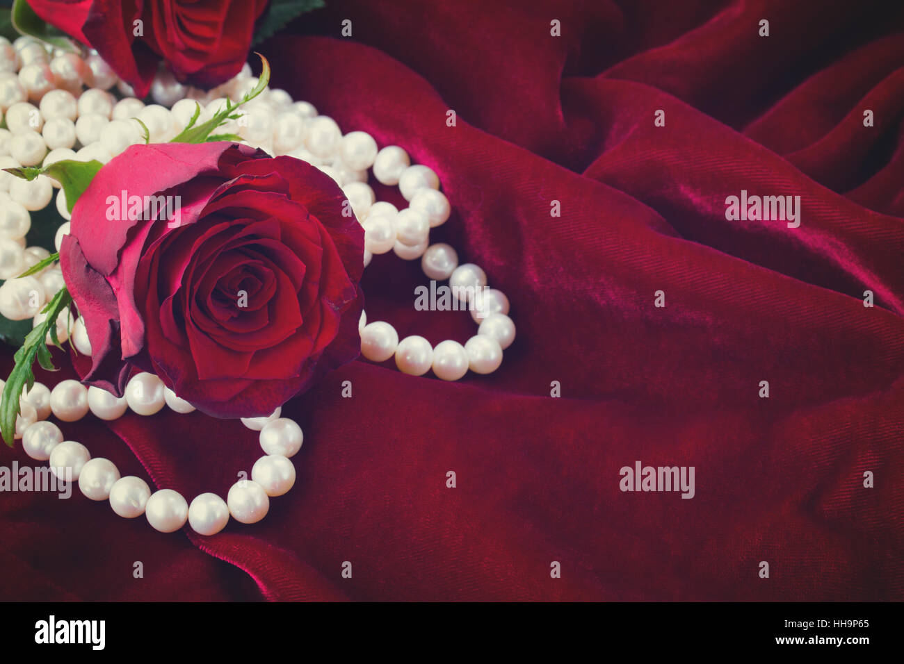 red roses on velvet Stock Photo - Alamy