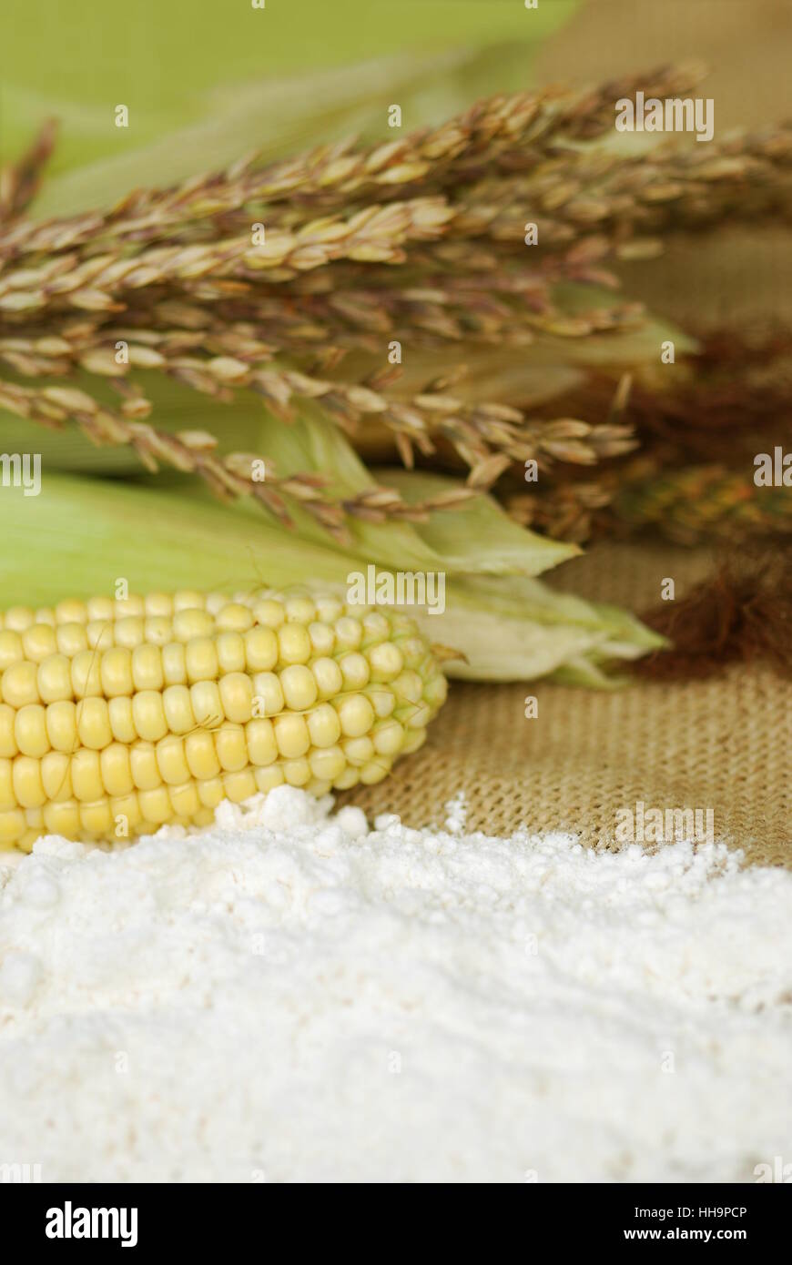 flour, corn, corncob, cornmeal, food, aliment, plant, agriculture ...