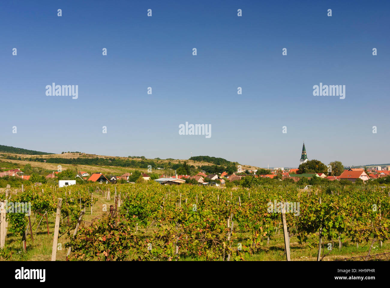 Limbach hi-res stock photography and images - Alamy