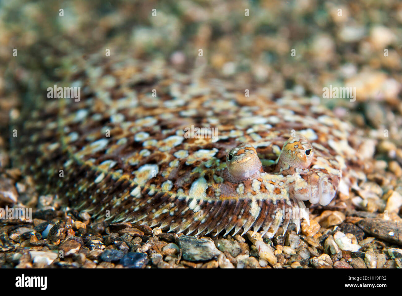 Silent tear hi-res stock photography and images - Alamy