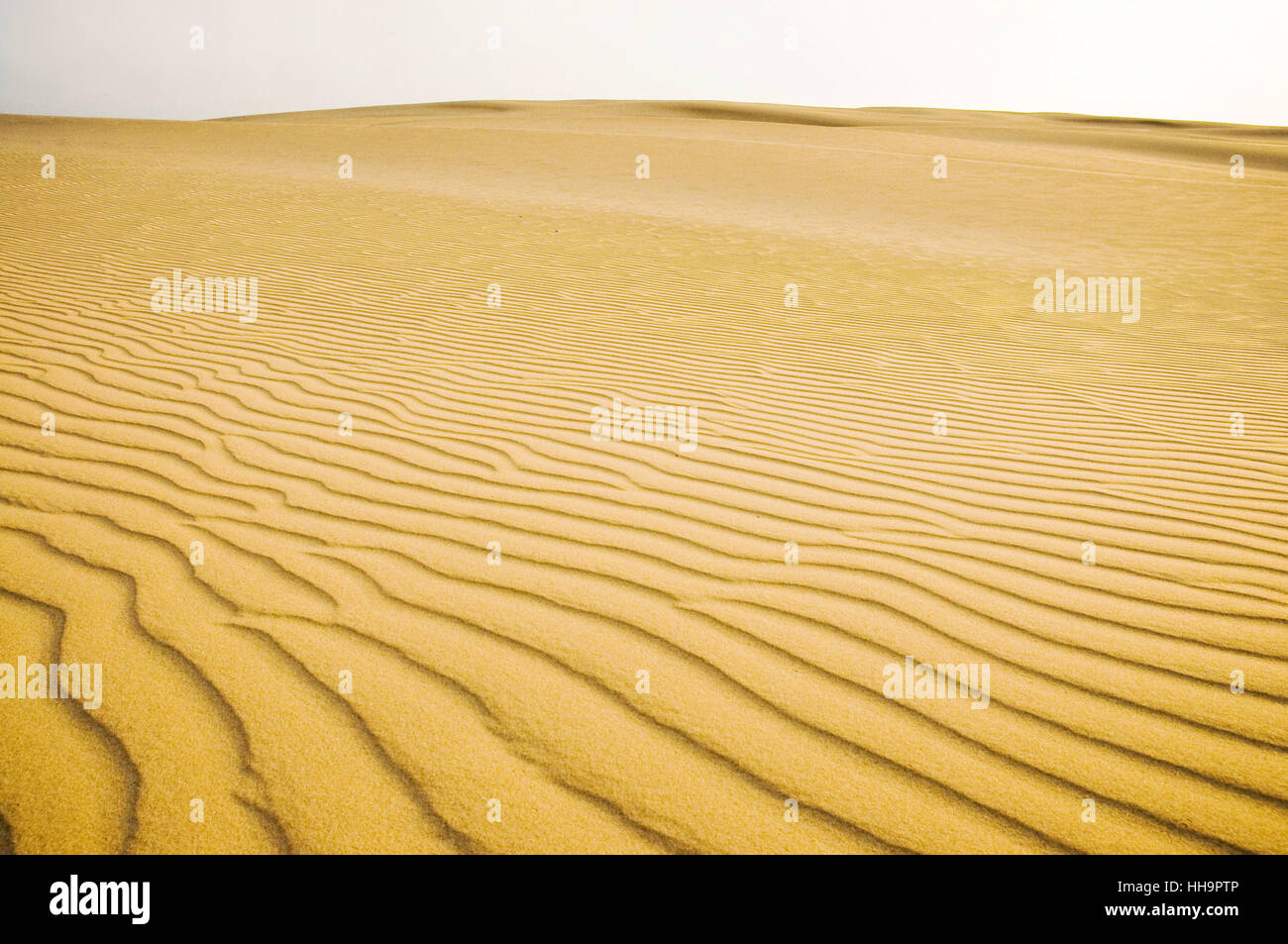 desert, wasteland, dunes, smooth, sands, sand, shine, shines, bright ...