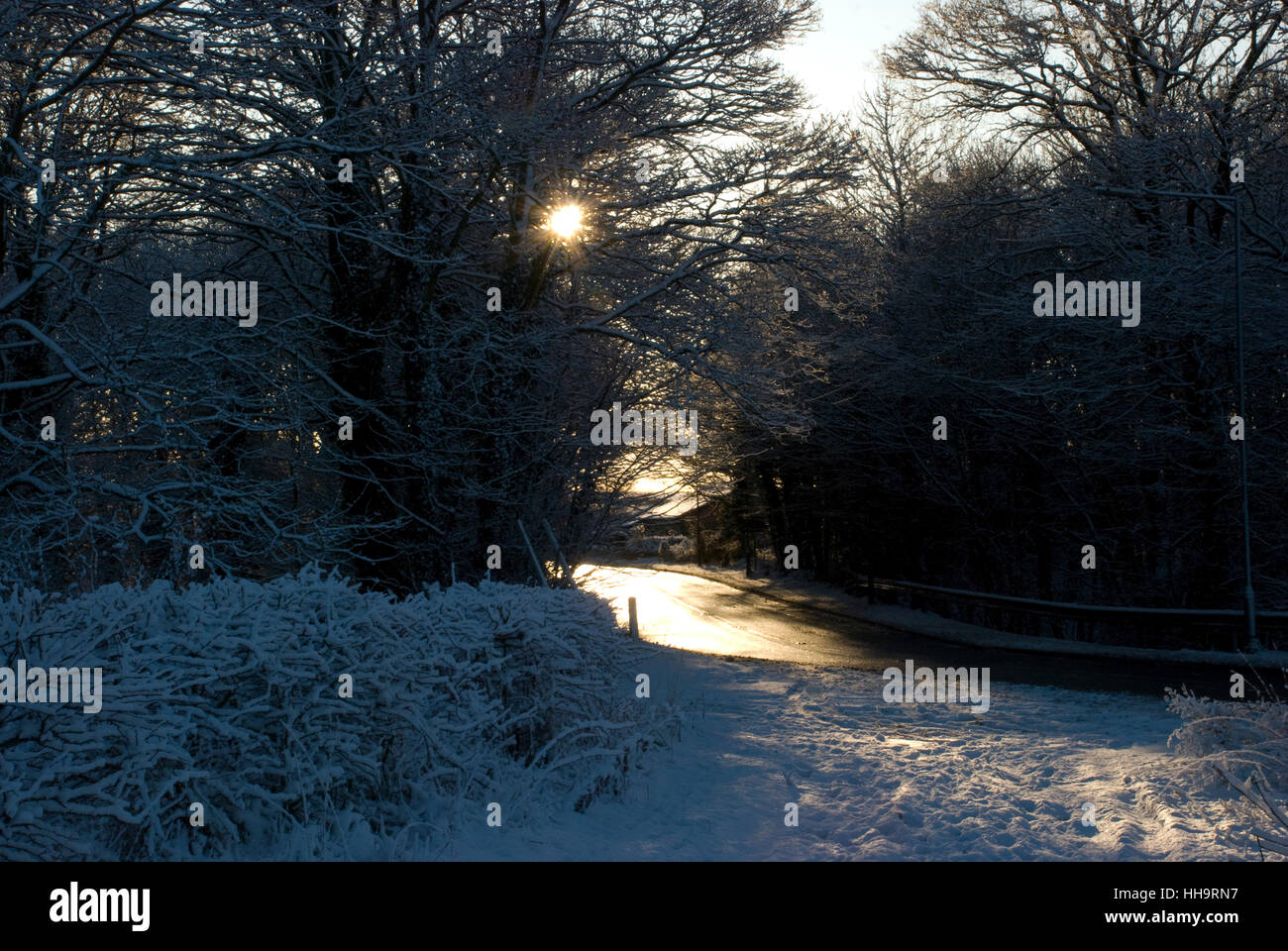 Winter scene with road snow and low lying sun seen through the branches ...