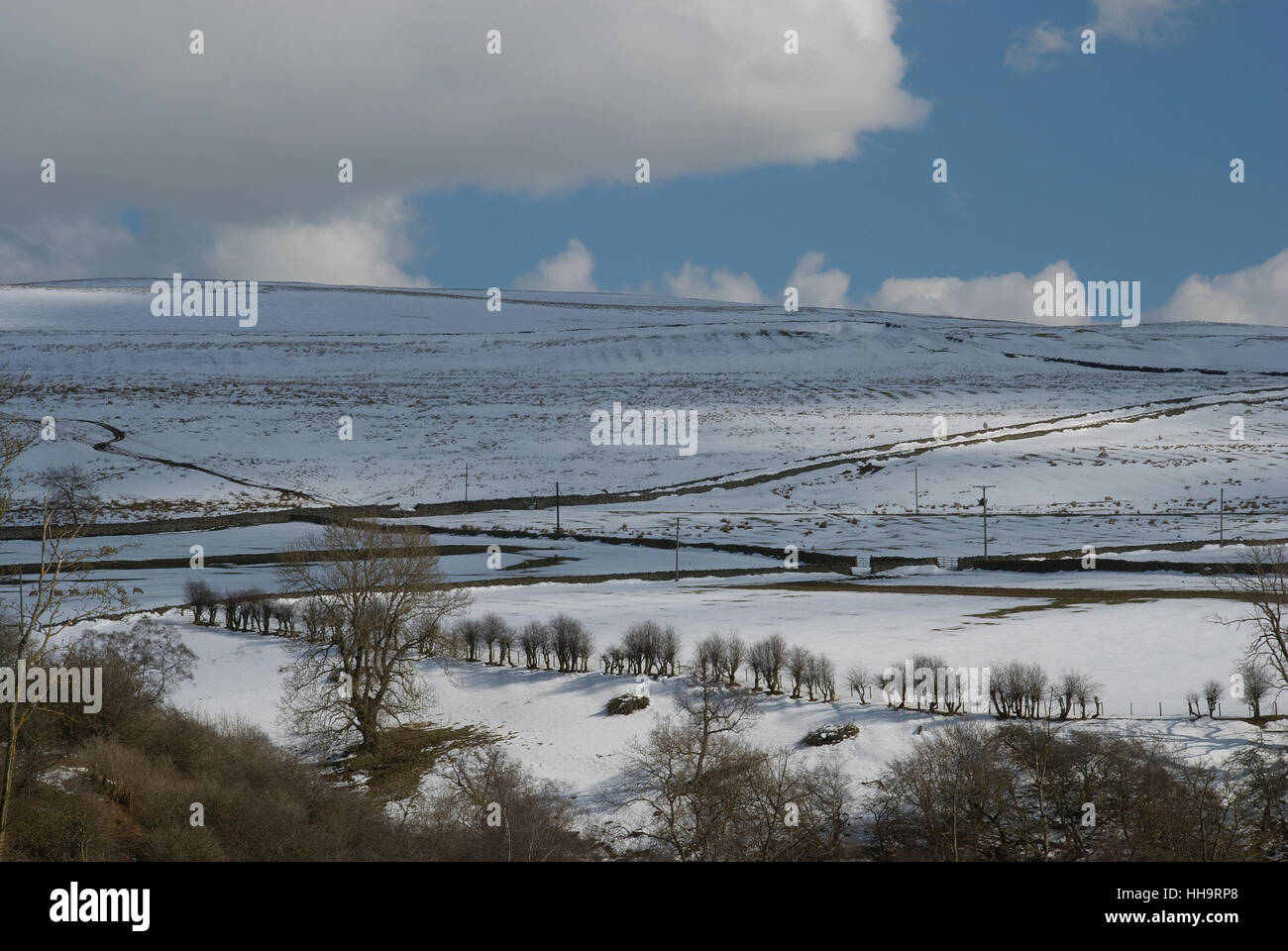 Typical durham dales hi-res stock photography and images - Alamy