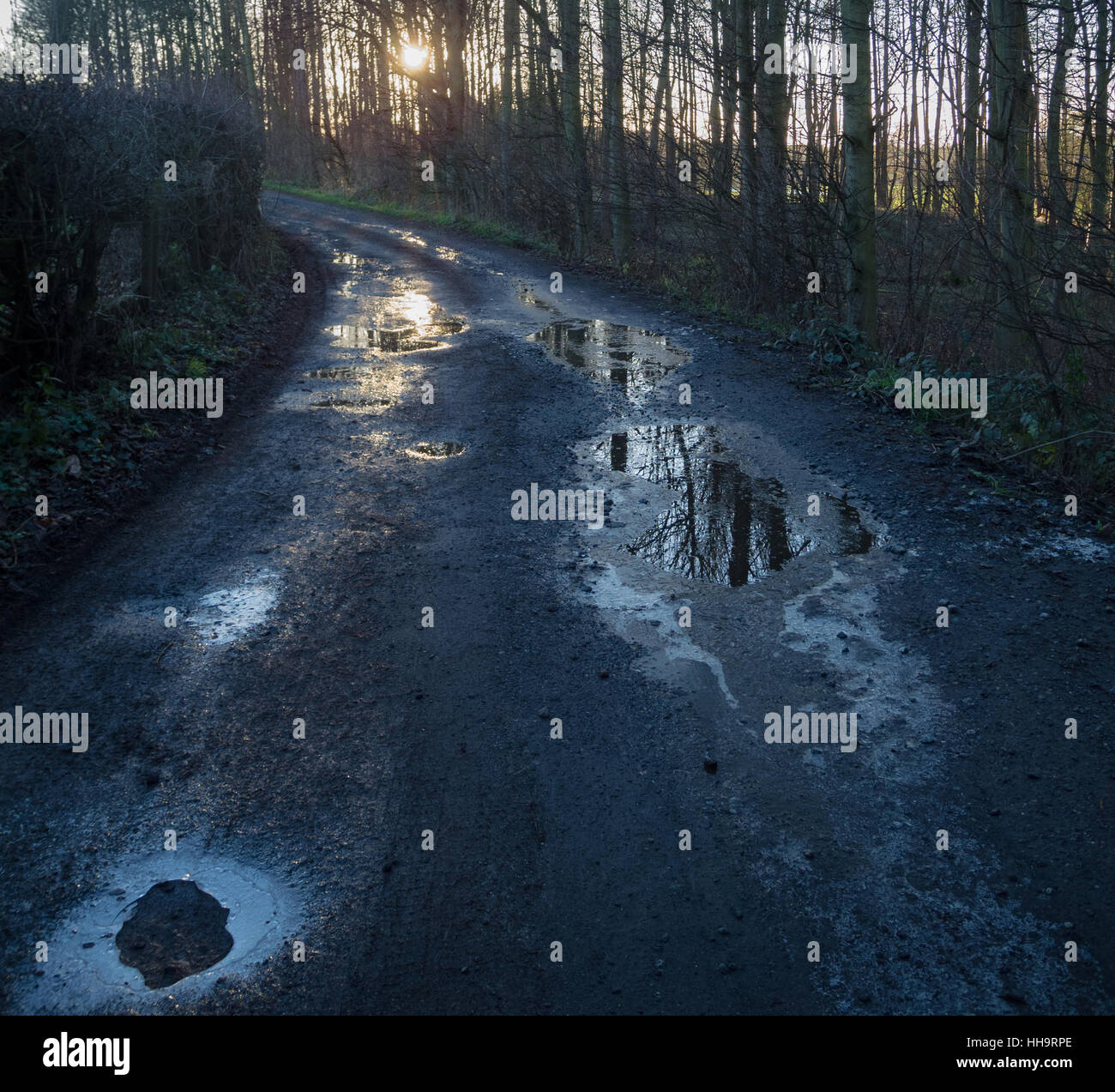 narrow access road in winter with icy patches reflecting tree branches ...