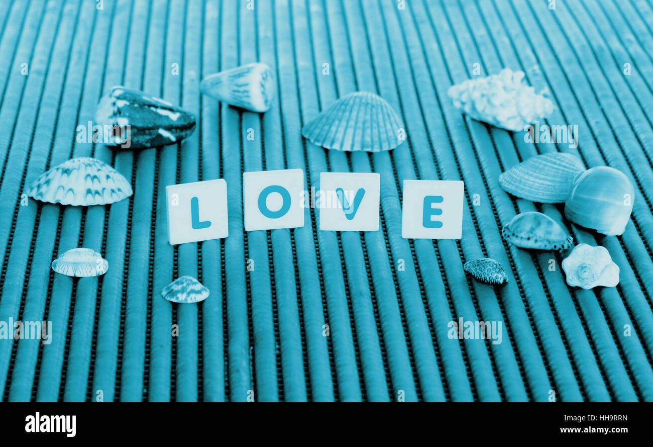 "love" letter tiles and sea shells still life. Duo tone Stock Photo - Alamy