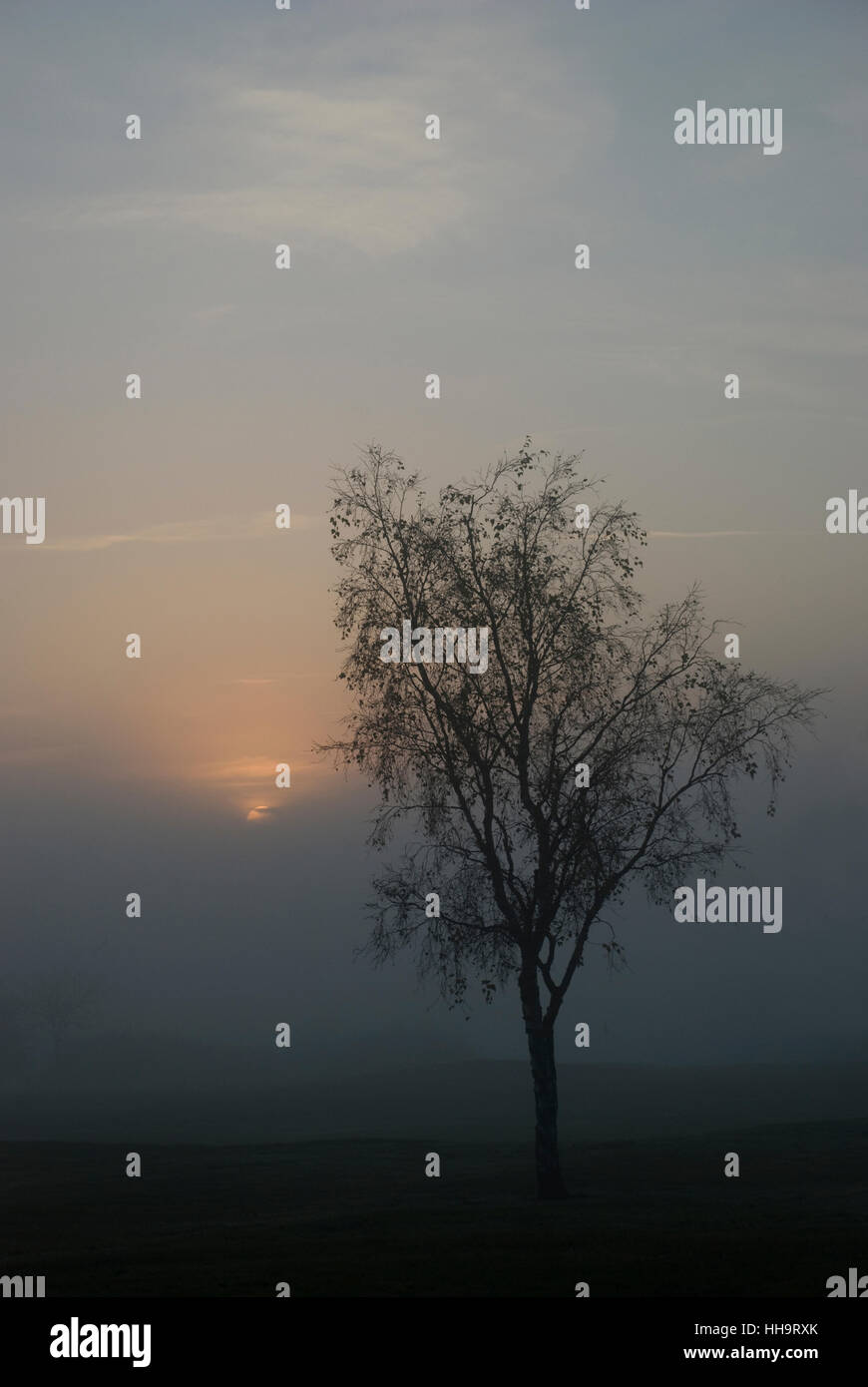 Sinking sun and mist hi-res stock photography and images - Alamy