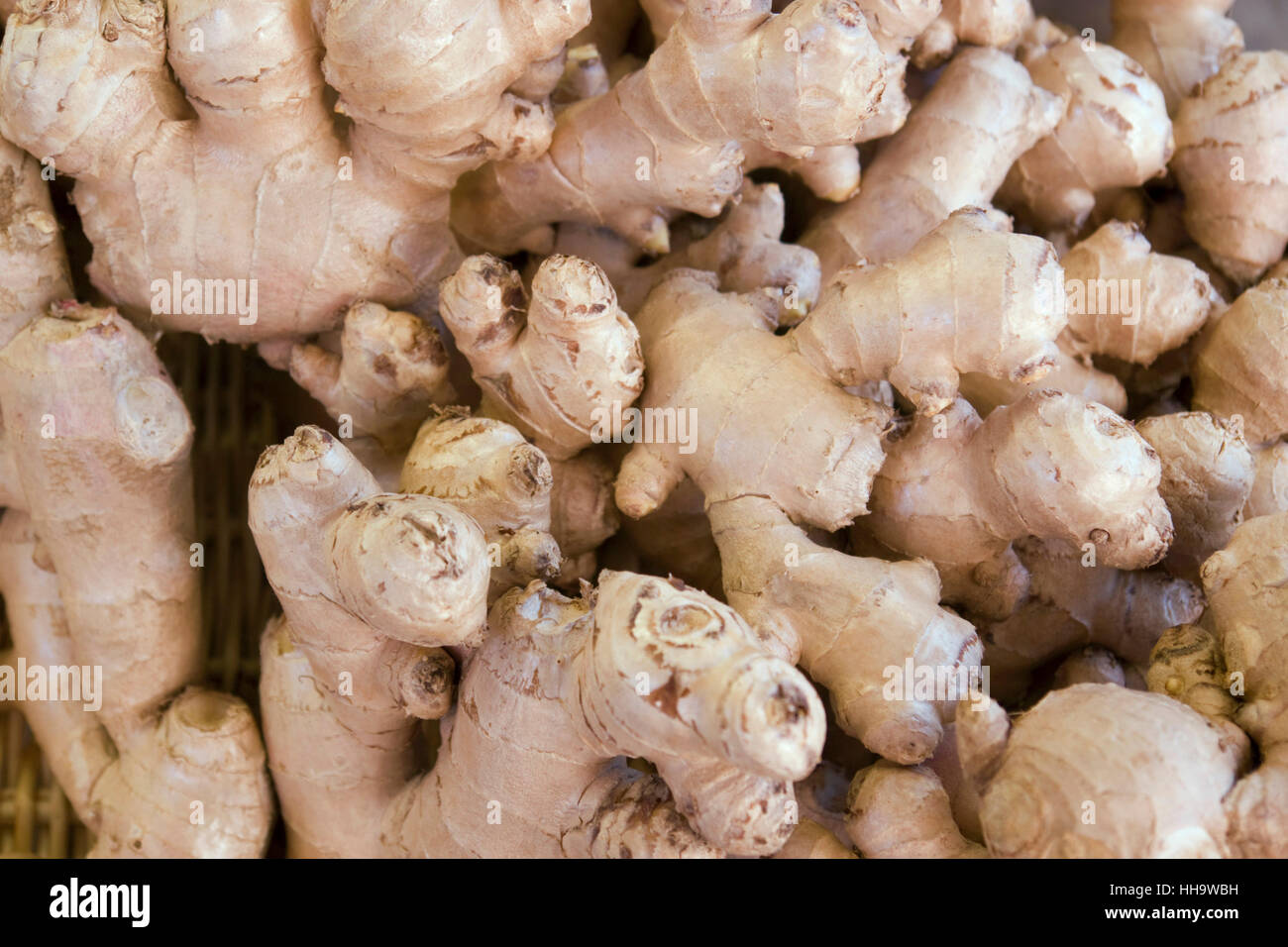 root, vegetable, ginger, format-filling, plant, food, aliment, spice ...