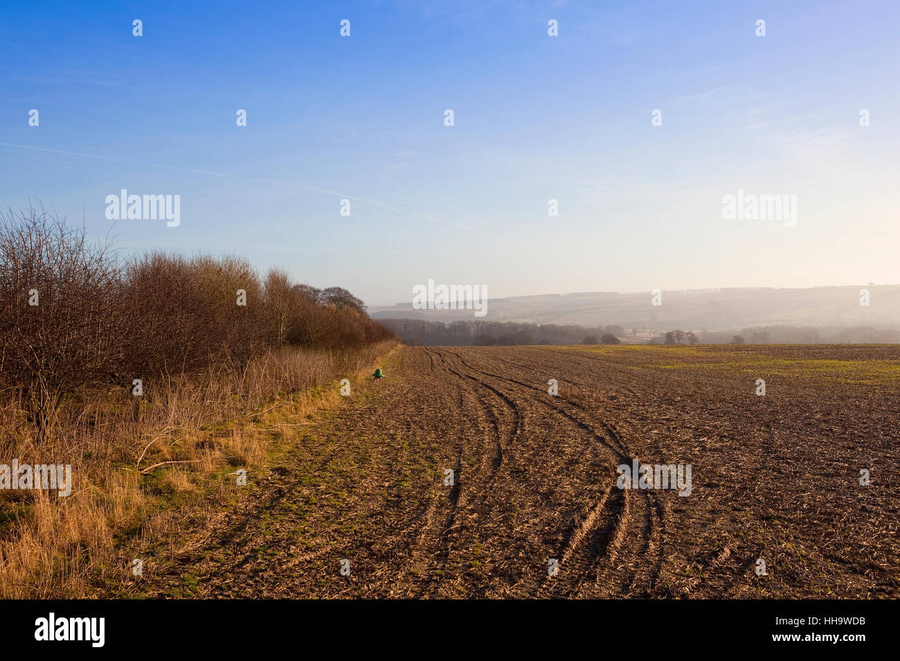 Pheasant tracks hi-res stock photography and images - Alamy