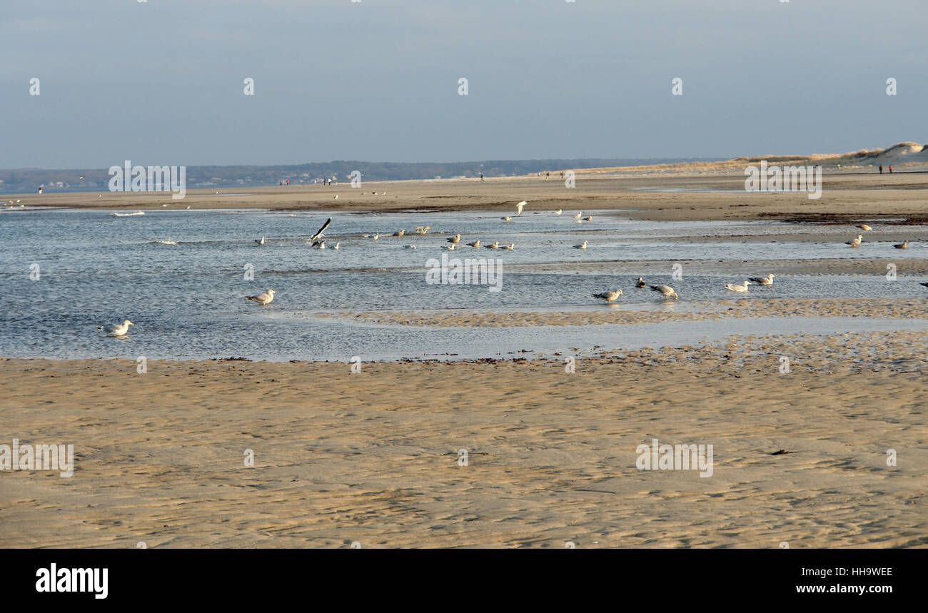 usa, america, environment, enviroment, spare time, free time, leisure ...