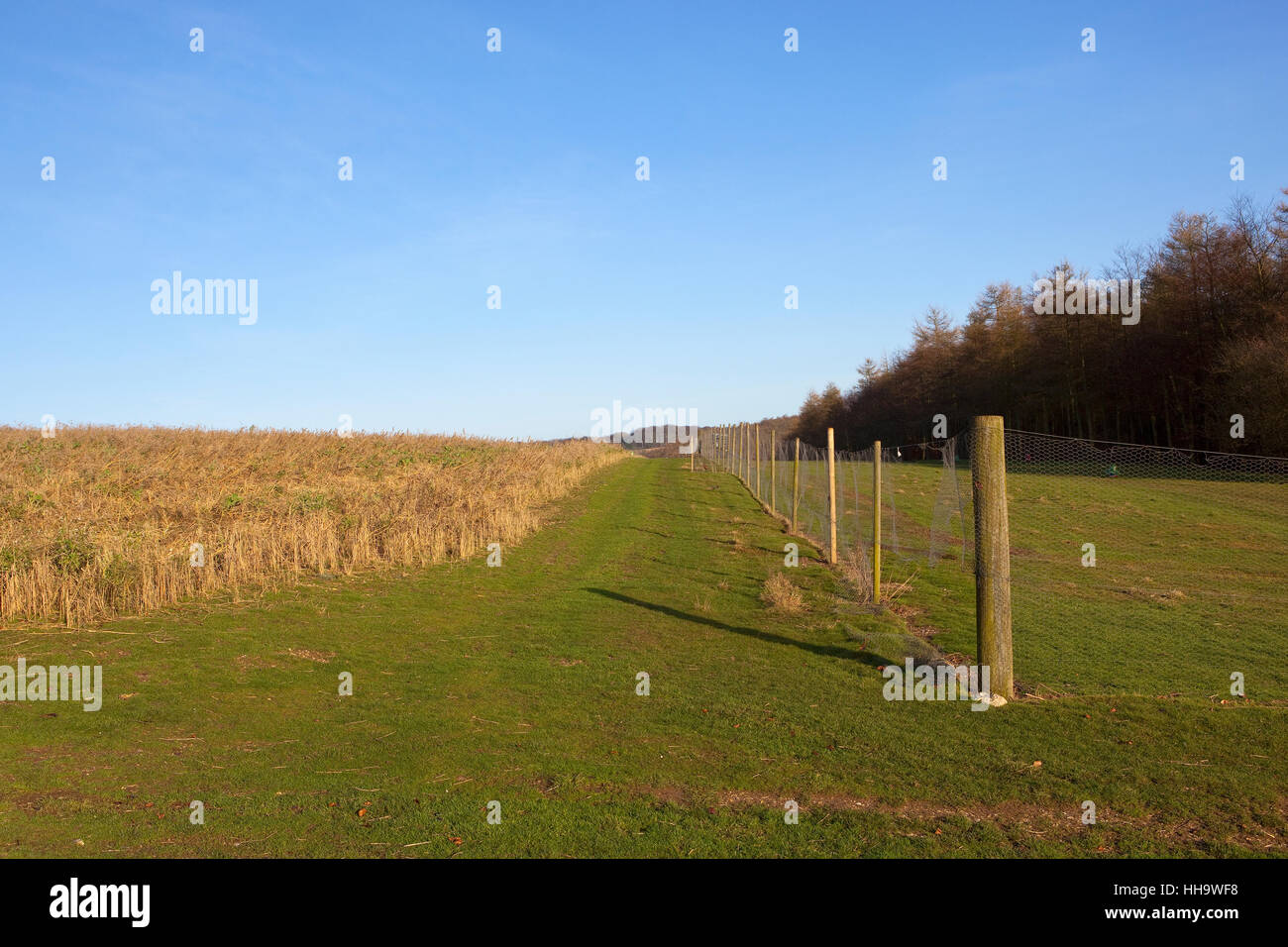 English farm enclosures hi-res stock photography and images - Alamy