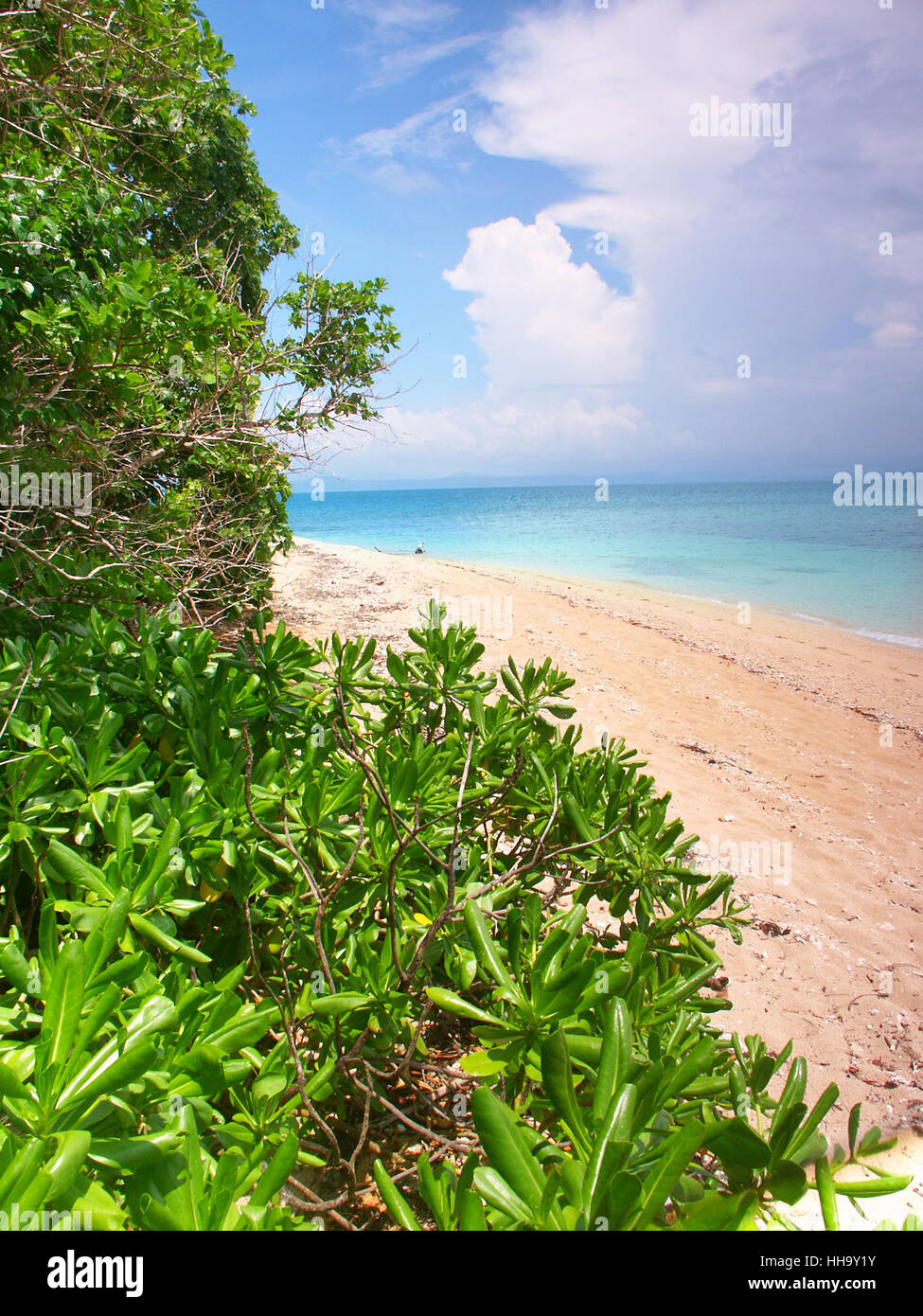 australia, low, australian, beautiful, beauteously, nice, environment ...