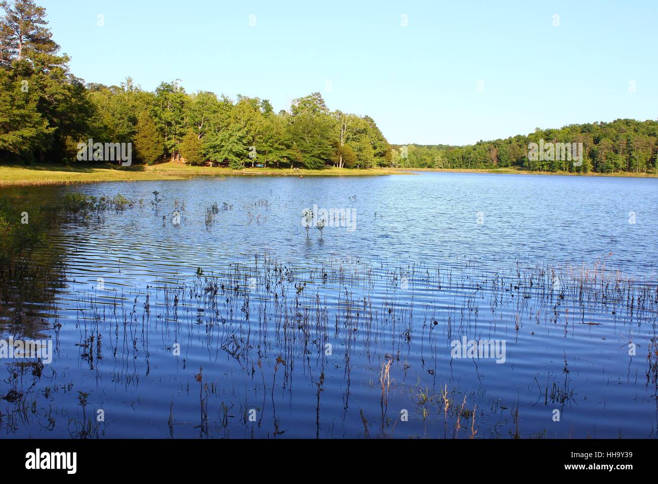 park, beautiful, beauteously, nice, environment, enviroment, tree ...