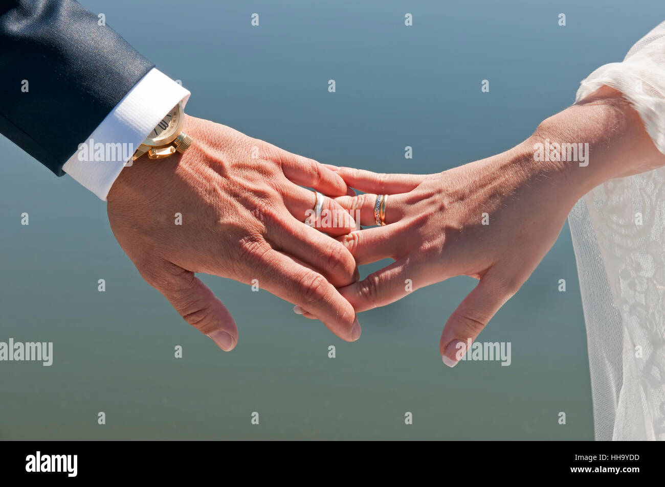 humans, human beings, people, folk, persons, human, human being, hand ...