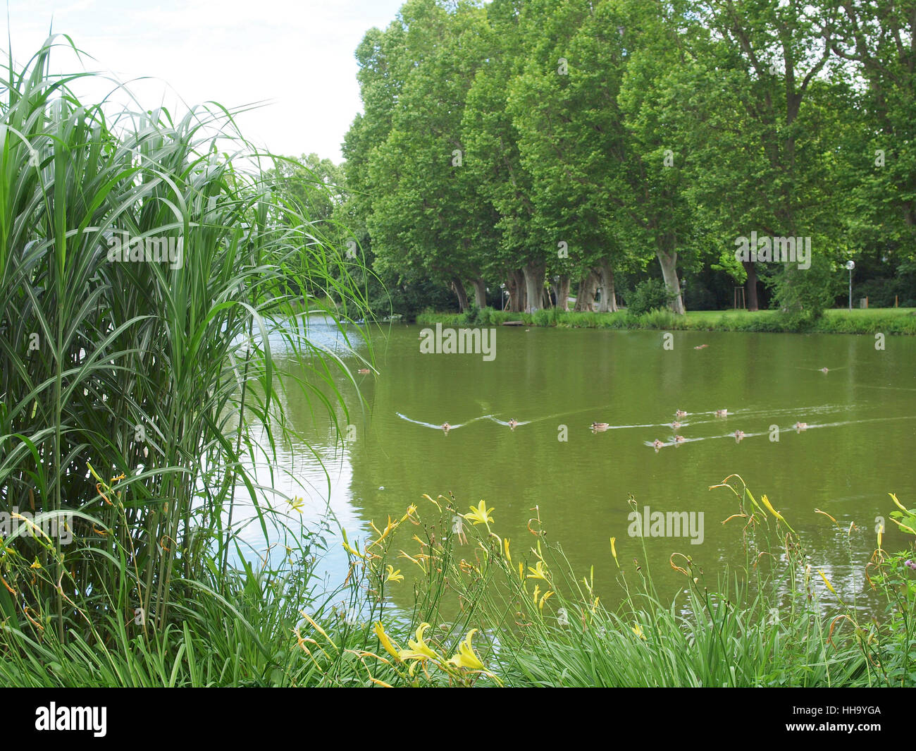 park, germany, german federal republic, stuttgart, gardens, blue ...