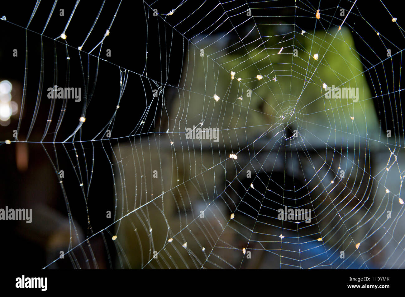 food, aliment, beautiful, beauteously, nice, detail, environment ...