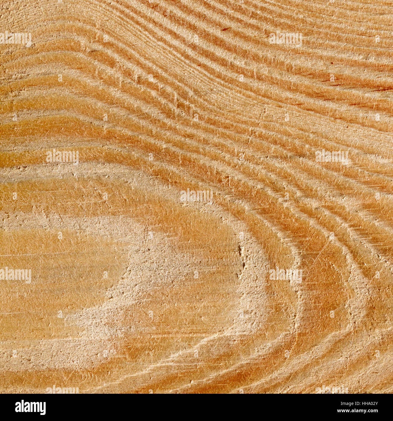 wood texture with growth rings Stock Photo - Alamy