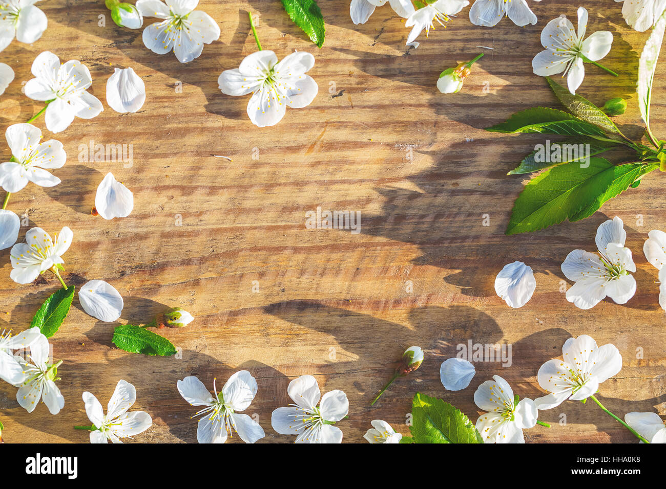 Spring frame with cherry flowers on old wooden background with free ...