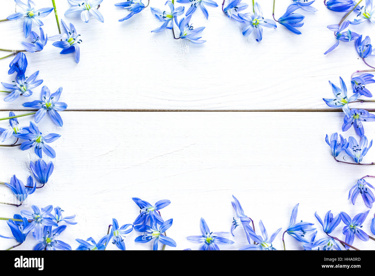 Spring frame with flowers snowdrops on white wooden background with ...