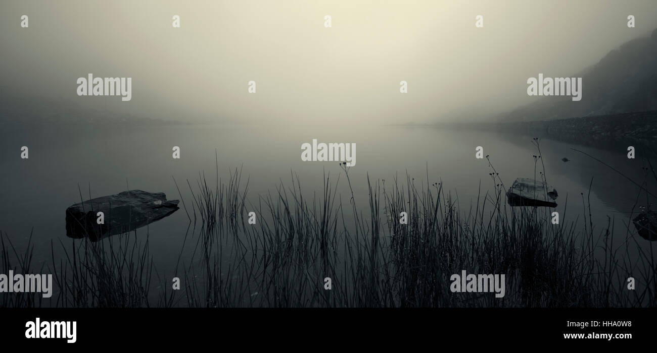 Two black rocks in shallow water on a misty lake Stock Photo - Alamy