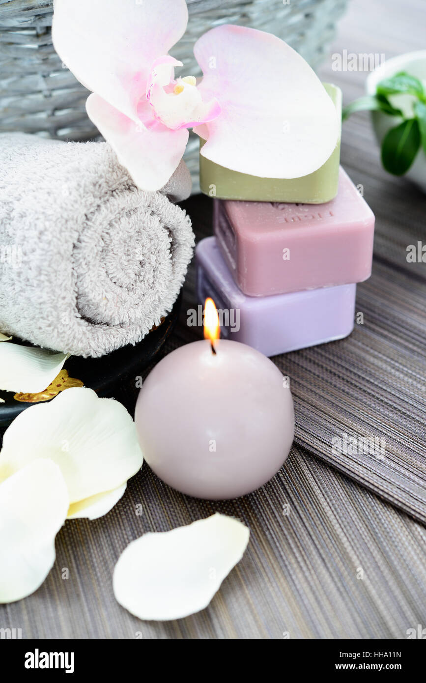 blue, salt, leaf, health, model, design, project, concept, plan, draft ...