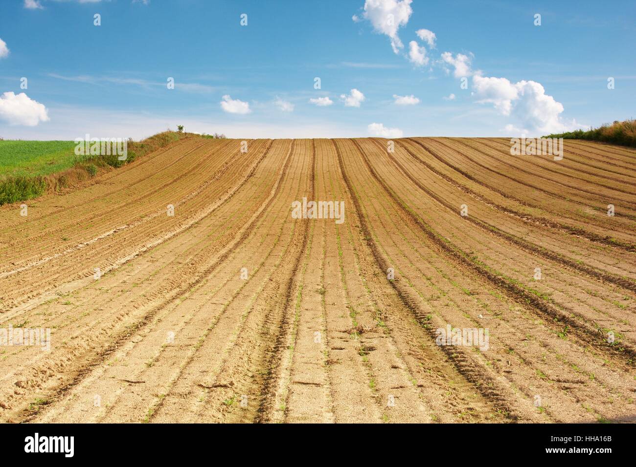 hill, field, horizontal, landscape, scenery, countryside, nature ...