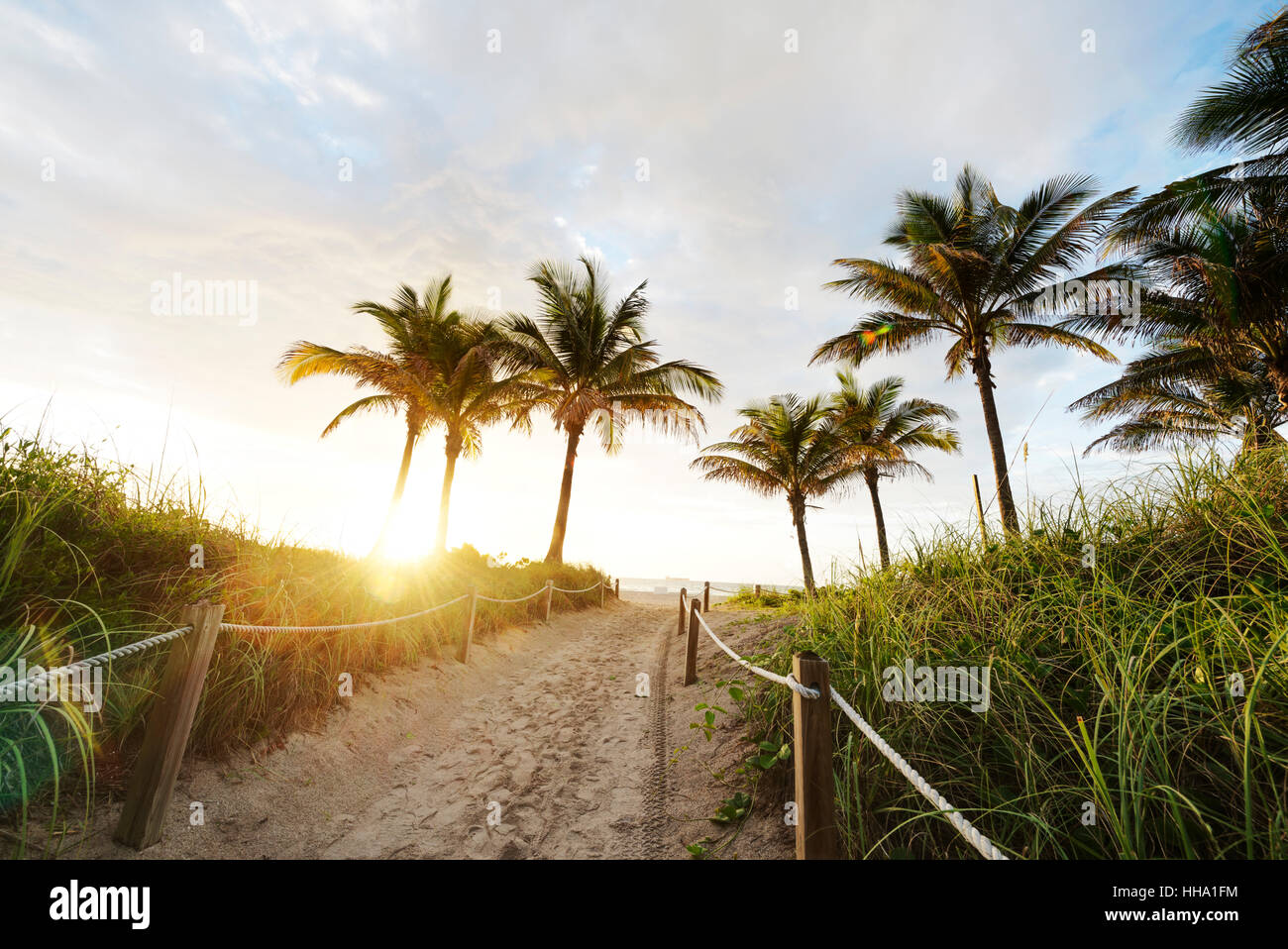 beach, seaside, the beach, seashore, sunrise, sunlight, sunshine ...