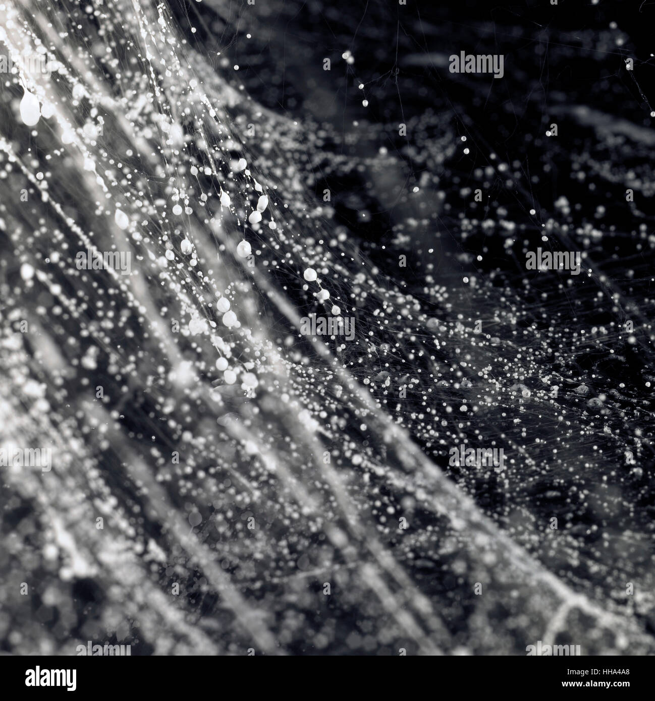 detail, abstract, spider webs, nobody, tissue, macro, close-up, macro ...