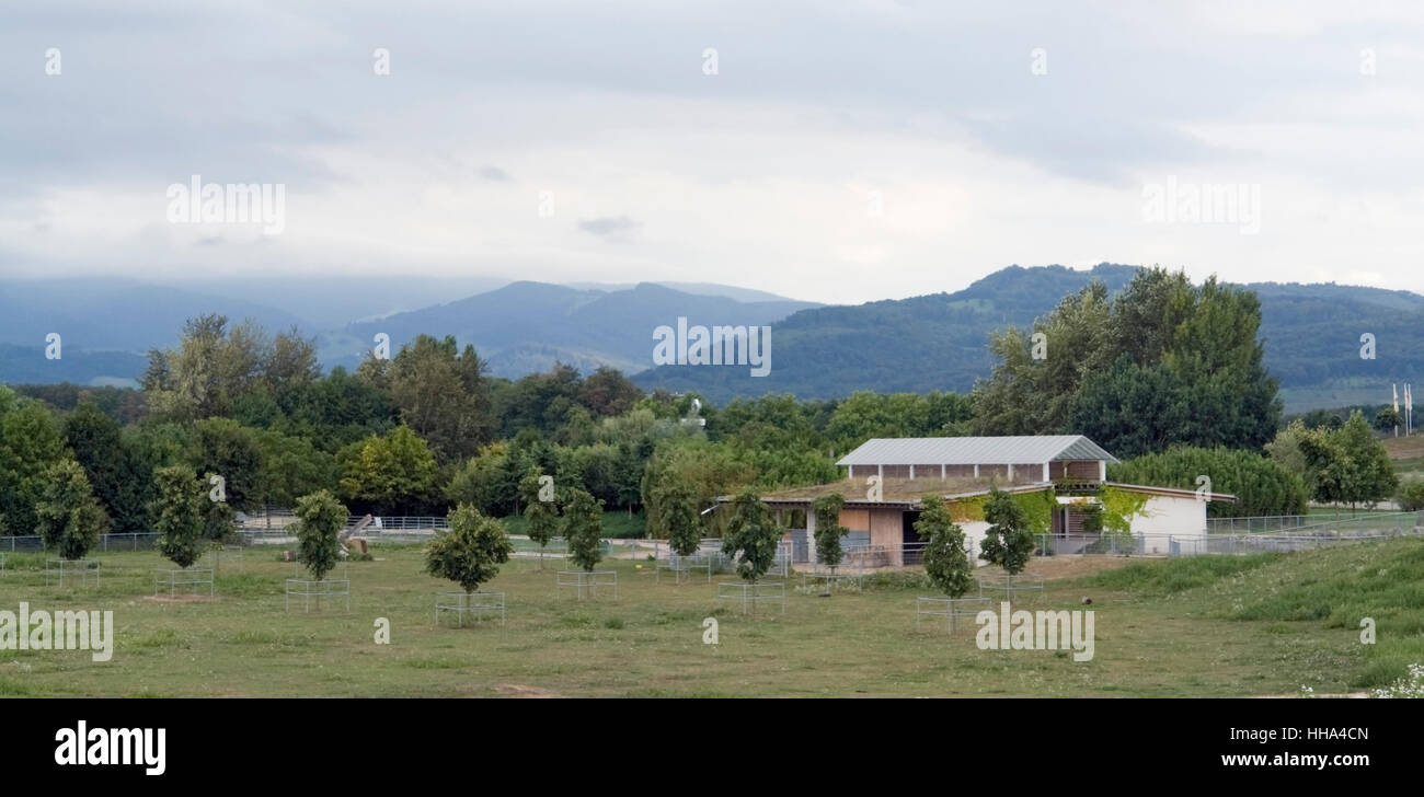 agriculture, farming, farm, style of construction, architecture ...