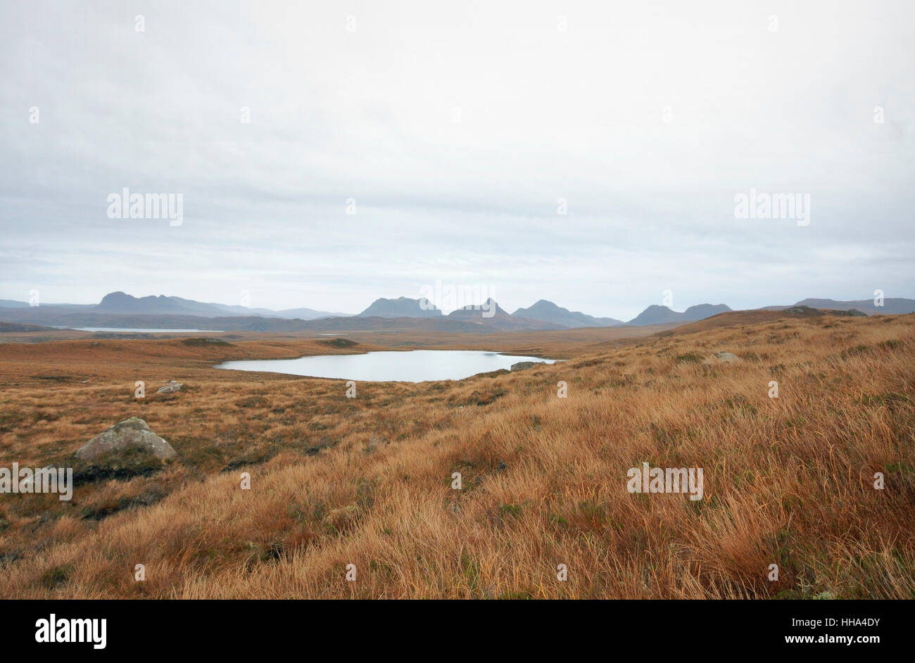panoramic grassland scenery in Scotland Stock Photo - Alamy