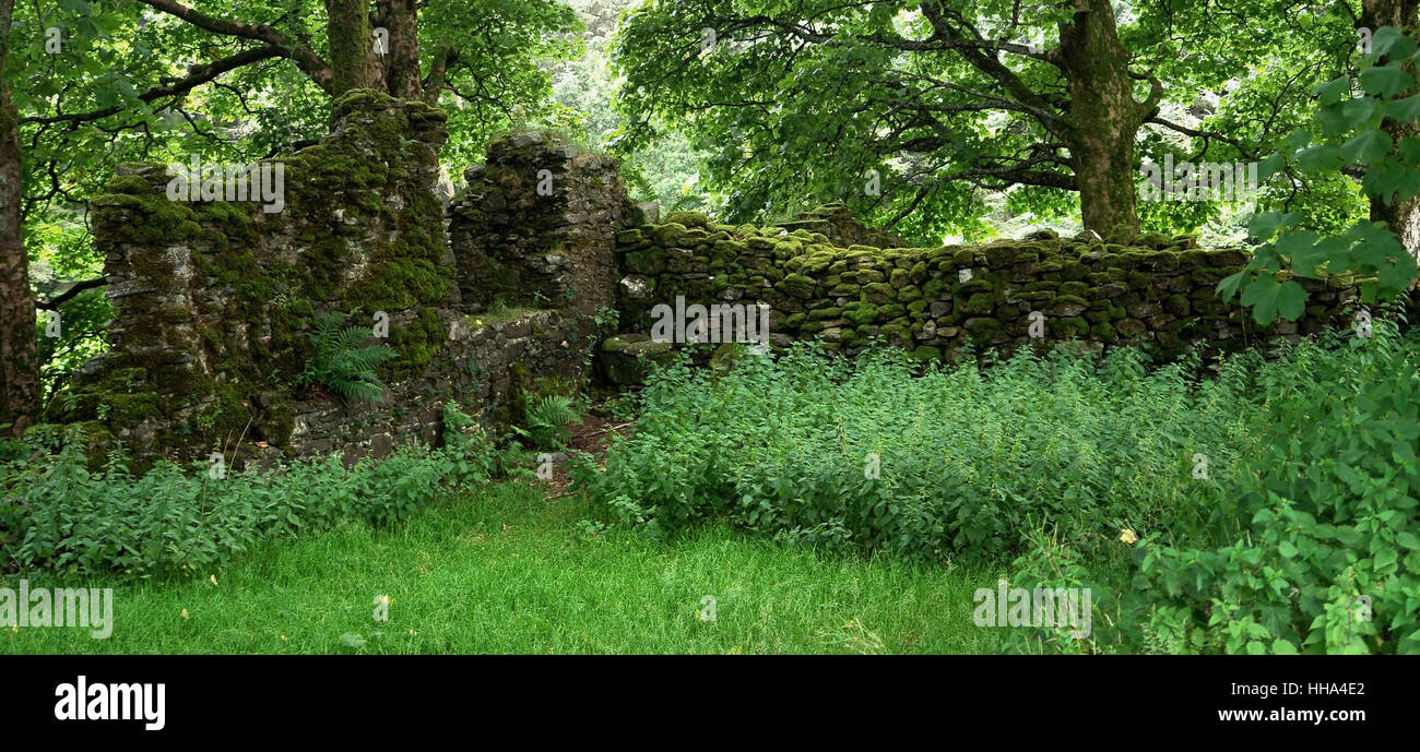 ruin, scotland, forest, leaf, travel, historical, tree, stone, tourism ...