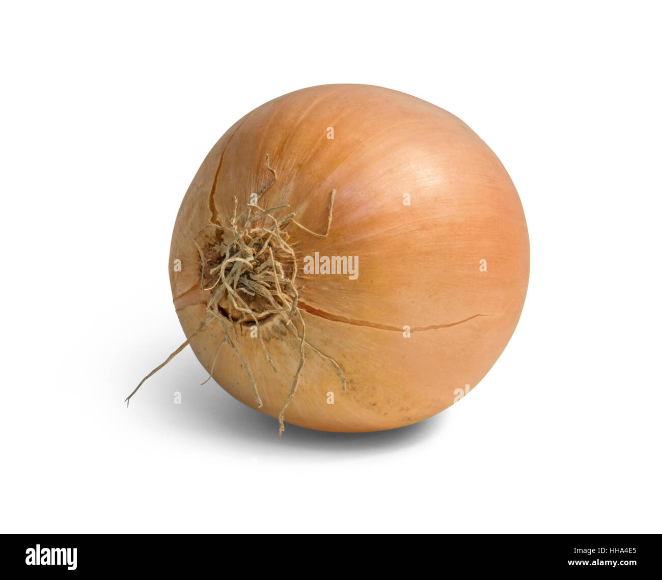 onion in white back with shadow Stock Photo - Alamy