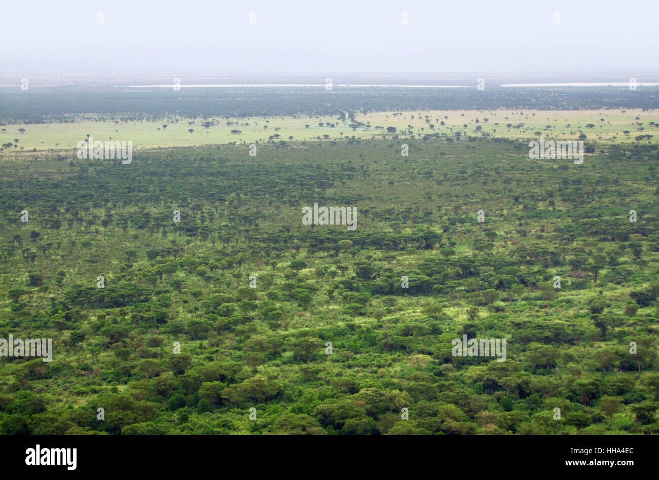 Queen elizabeth nationalpark hi-res stock photography and images - Alamy