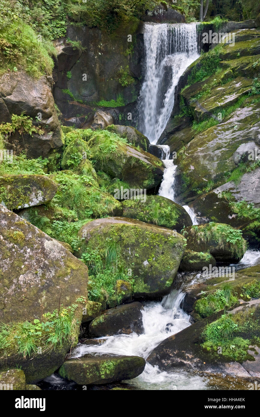 waterfall, biotop, stairs, leaf, tree, flow, stone, conservation of ...