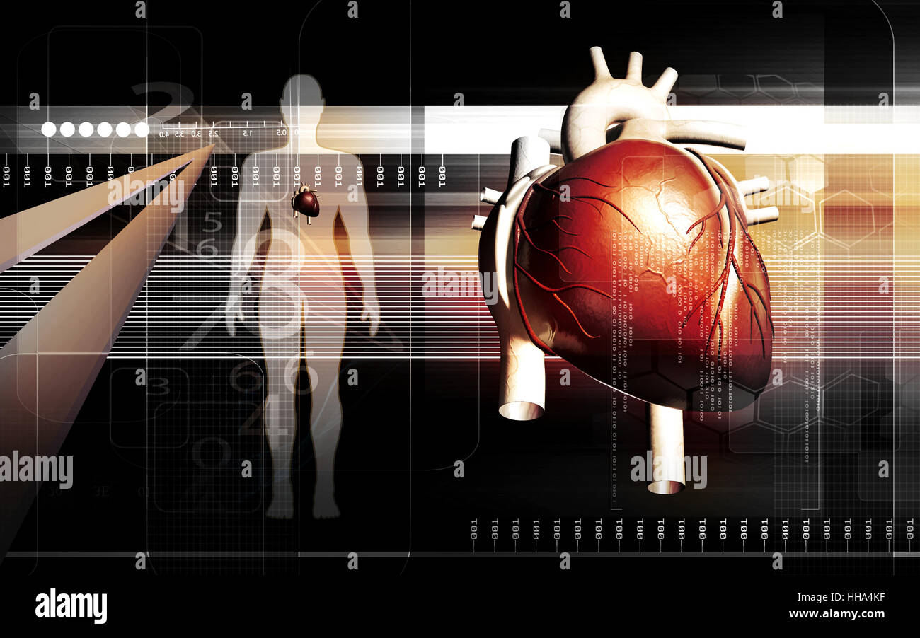 education, health, medicinally, medical, circulation, graphics, colour ...