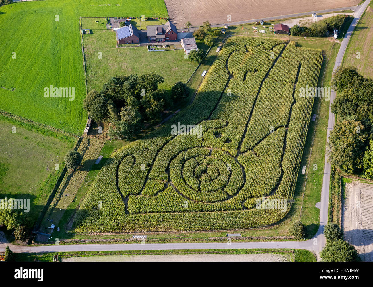 Cartoon corn hi-res stock photography and images - Alamy