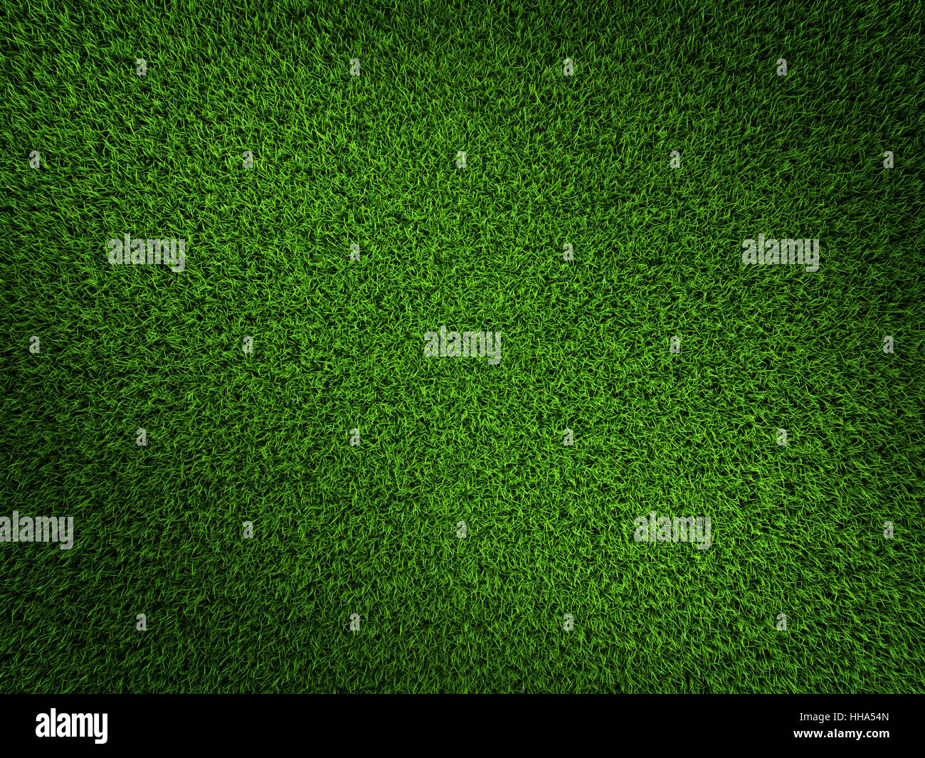 isolated, field, meadow, grass, lawn, green, backdrop, background ...