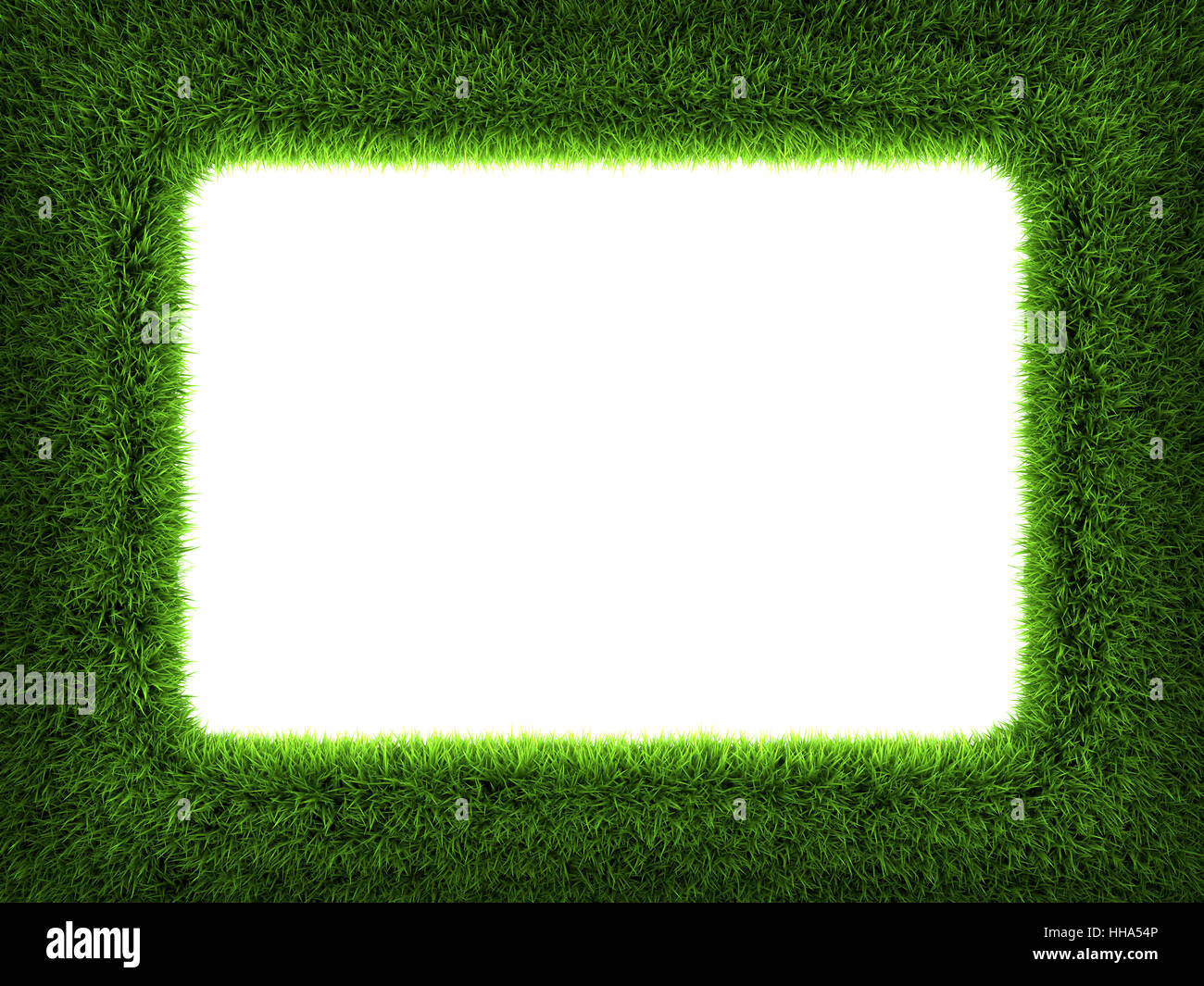 isolated, frame, meadow, grass, lawn, green, backdrop, background ...