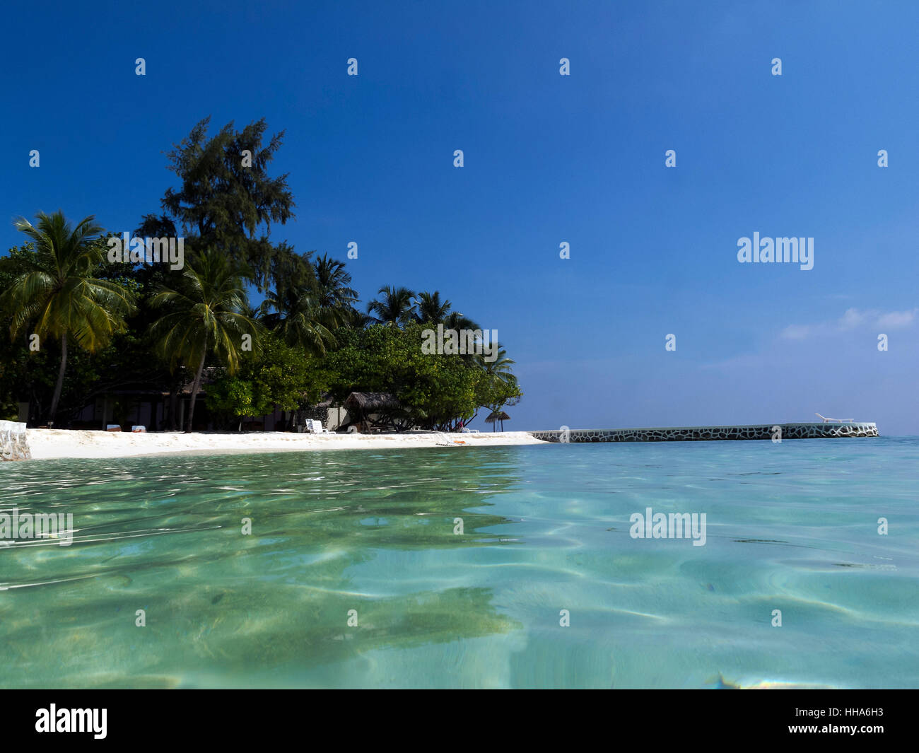 beautiful, beauteously, nice, tree, trees, beach, seaside, the beach ...